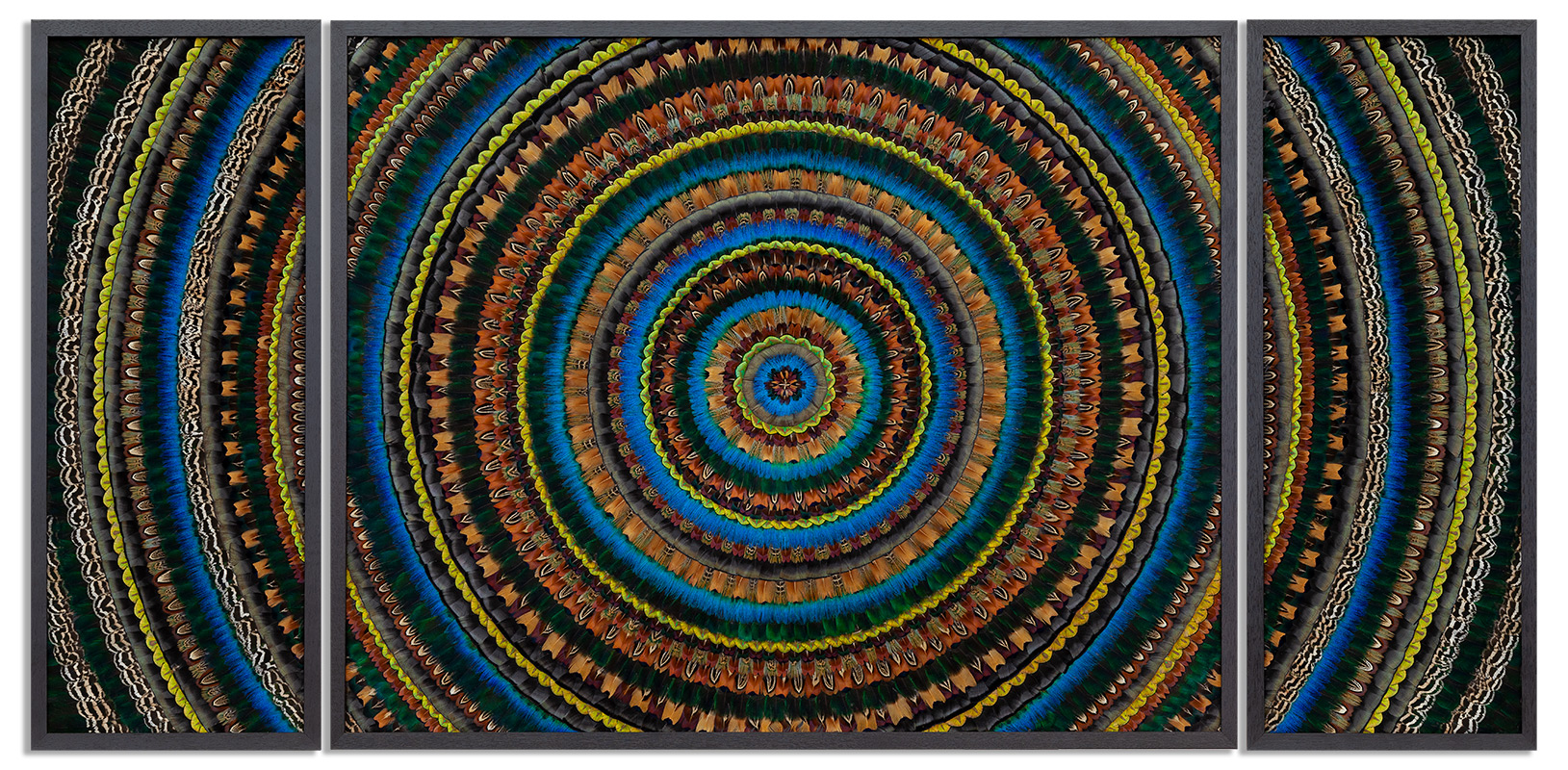 Space and Place - Fiona Kerr Gedson